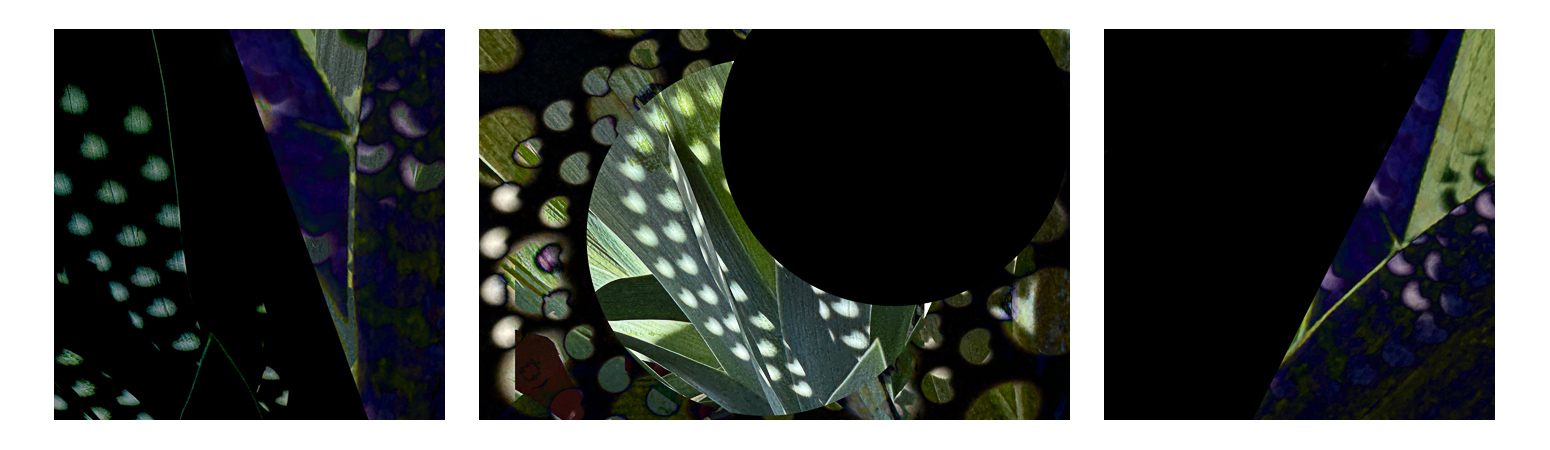 In the Path of Totality – melinda anderson photography