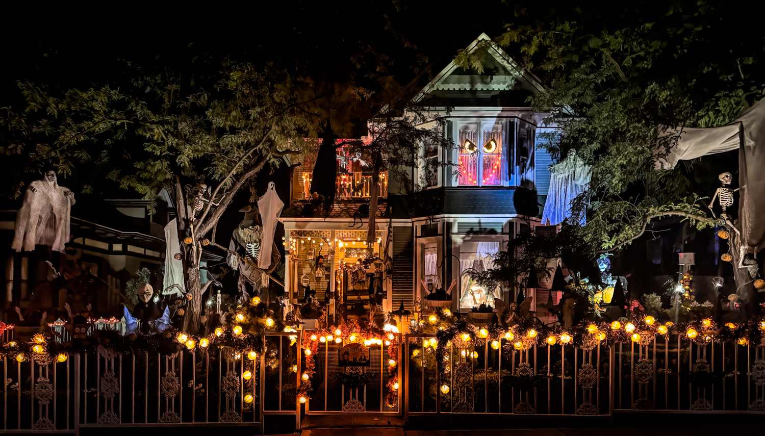 Spooky Walk – melinda anderson photography